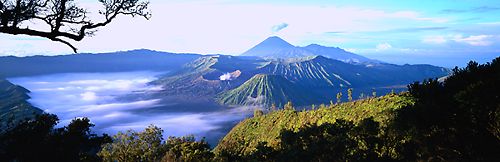 Bromo Park Area : Ranu Pane - Mount Semeru - Nature Scenery