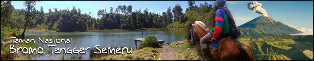 Bromo Park Area : Ranu Pane - Mount Semeru - Nature Scenery