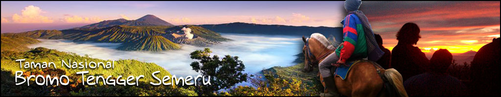 Bromo Park Area : Ranu Pane - Mount Semeru - Nature Scenery