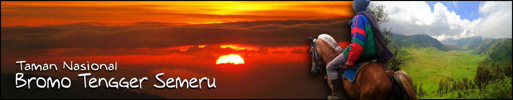 Bromo Park Area : Ranu Pane - Mount Semeru - Nature Scenery