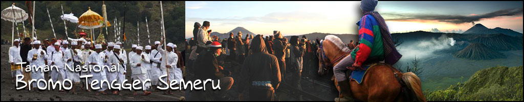 Bromo Park Area : Ranu Pane - Mount Semeru - Nature Scenery