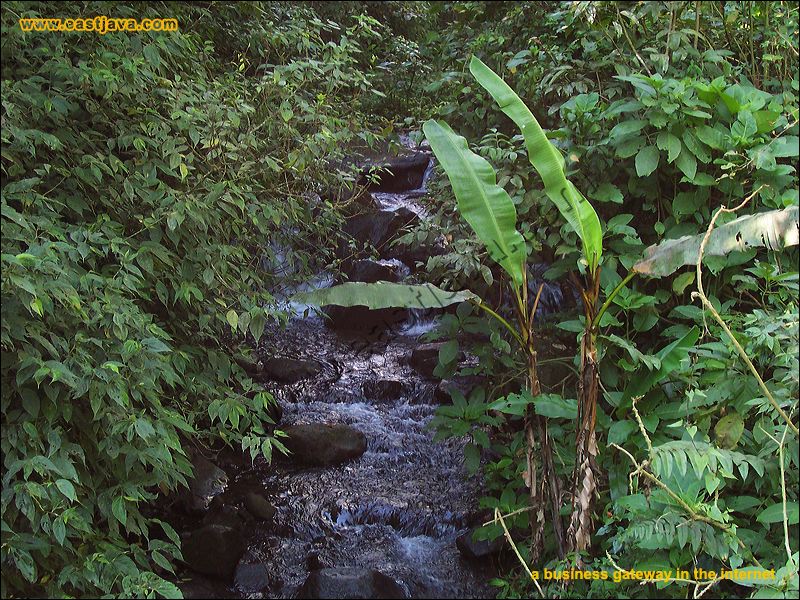Dlundung Waterfall - Mojokerto Tourism