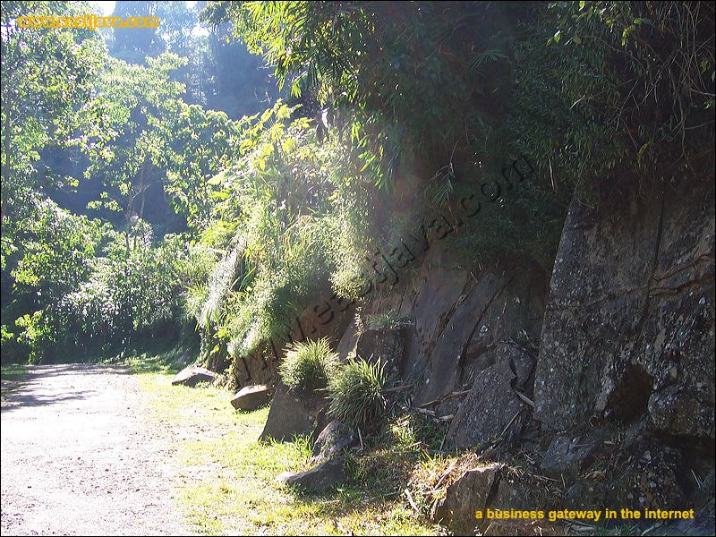 Dlundung Waterfall - Mojokerto Tourism