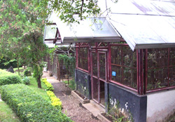 Welcome to Purwodadi Botanic Garden : Short History About The Park